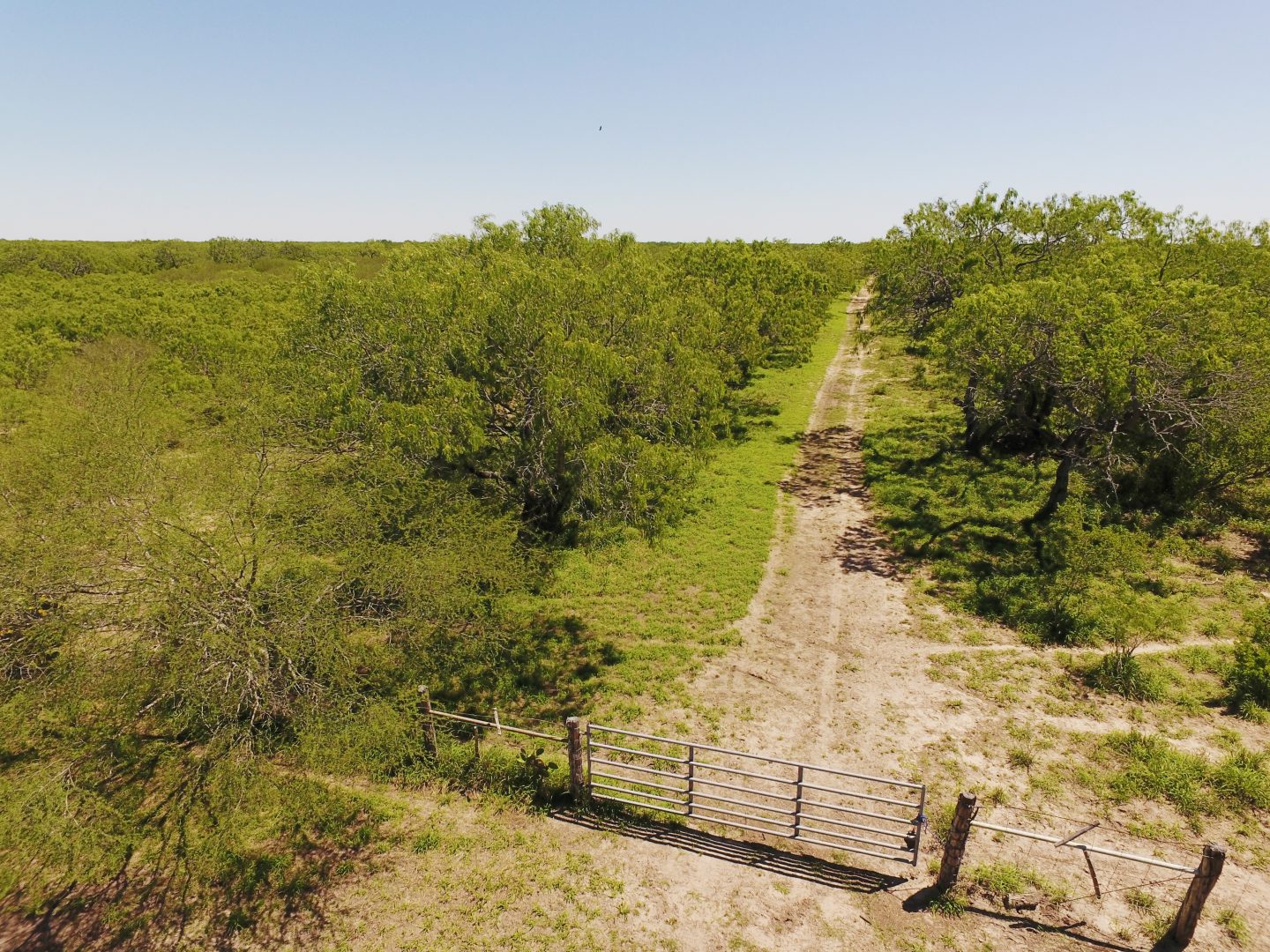 870-Acres of Prime South Texas Land for Sale - Bordering King Ranch! | UCRP