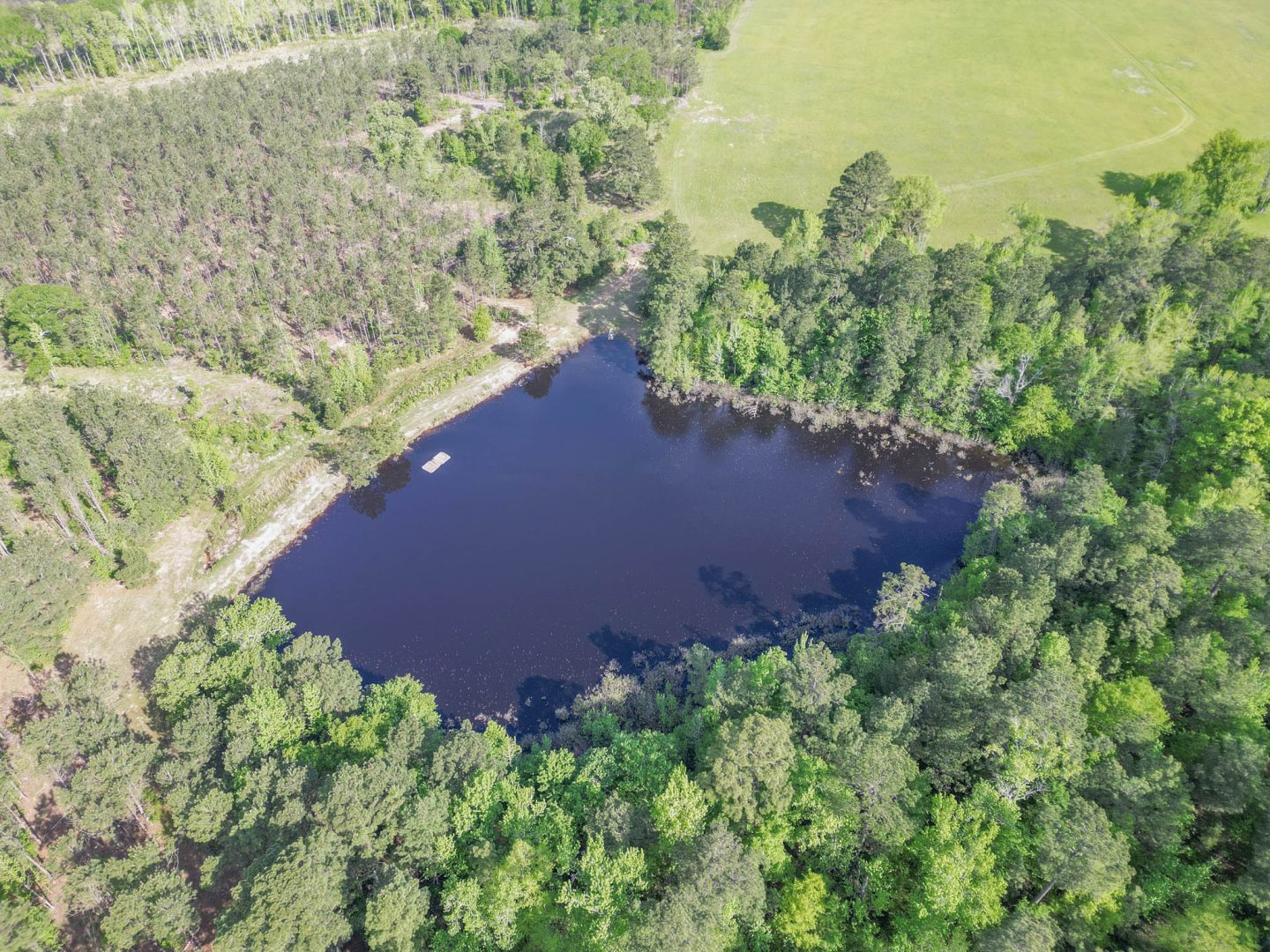 148-Acre Twin Pine Ranch in Atlanta, TX for Sale | UCRP