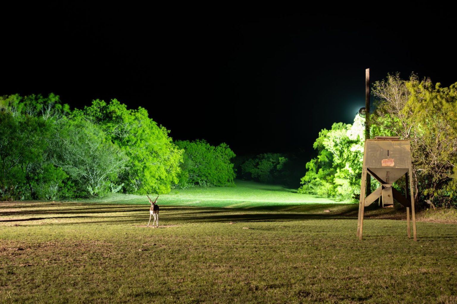 Livestock and Cattle Ranches for Sale | UC Ranch Properties