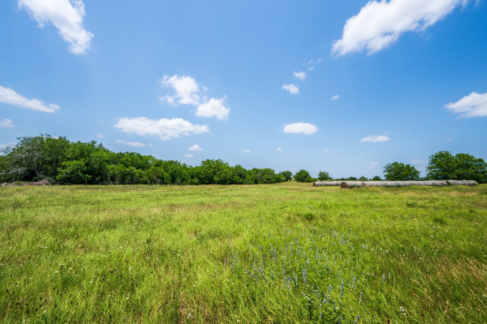 148-Acre South Texas Cattle Ranch in Kenedy | UCRP