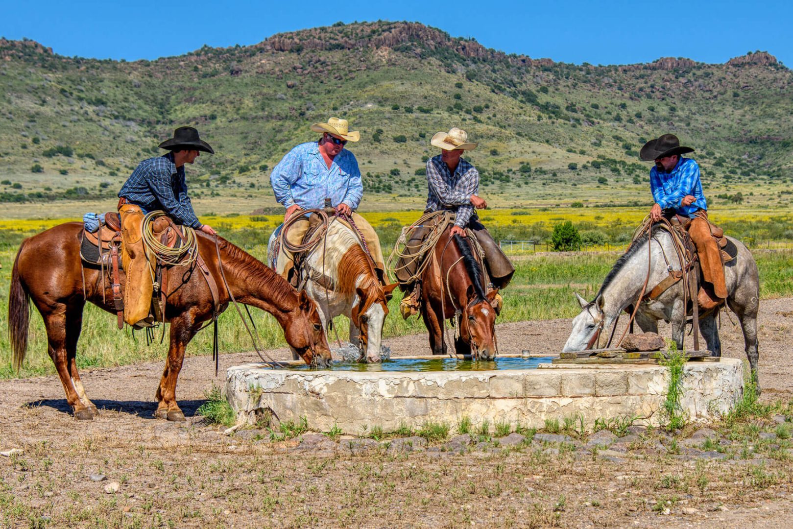List of Ten Largest Ranches in Texas | UC Ranch Properties
