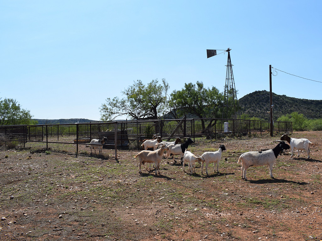 List of Ten Largest Ranches in Texas | UC Ranch Properties