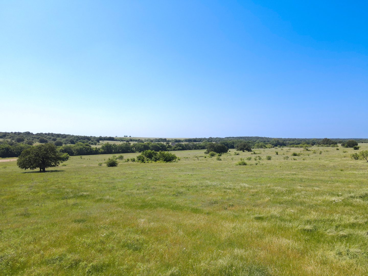 Premier 230-Acre North Texas Ranch Gem in Montague | UCRP