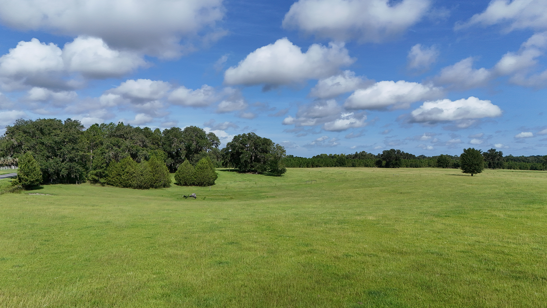 78-Acre Columbia County Farm/Ranch with Improved Pasture | UCRP