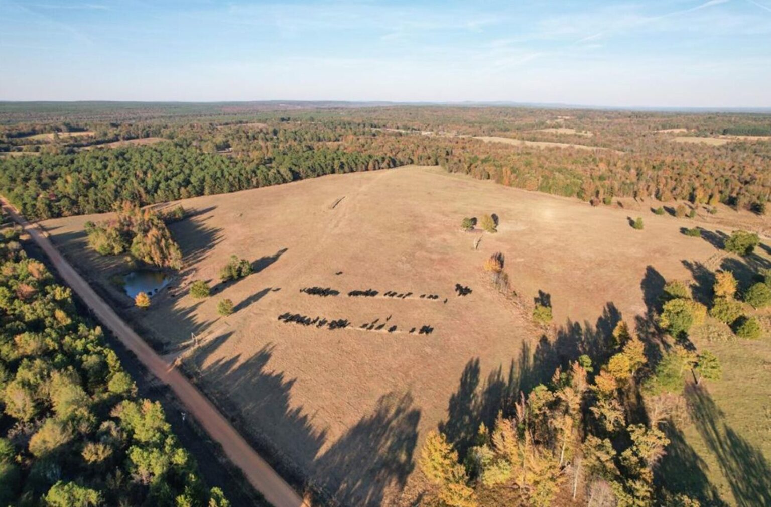 List of the Largest Ranches in the USA | UC Ranch Properties